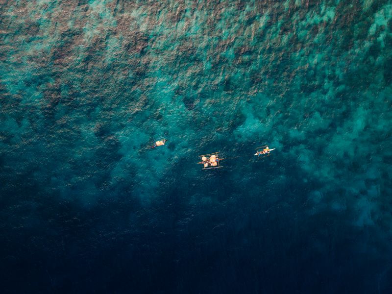 Pro Ocean | Nø Cosmetics | Unsere Projekte